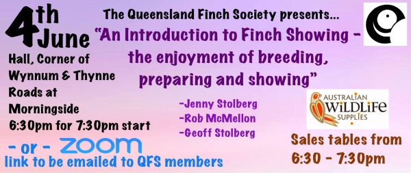 4 June 2021 - An Introduction to Finch Showing - Queensland Finch Society